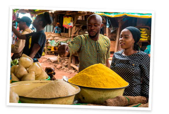 Nieuwe website Dutch Tribes Furniture – Nick Groen